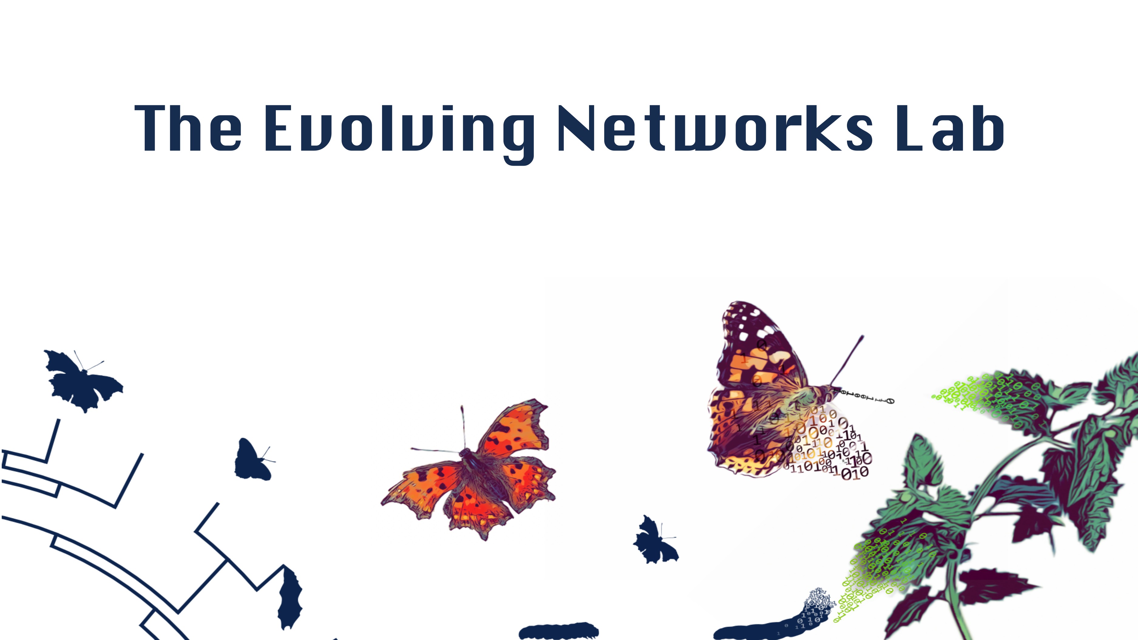 The Evolving Networks Lab The Evolving Networks Lab